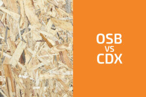 OSB vs. CDX: Which Should You Use? - Handyman's World