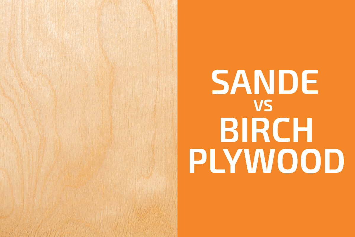Sande Vs Birch Plywood Which To Choose Handyman s World