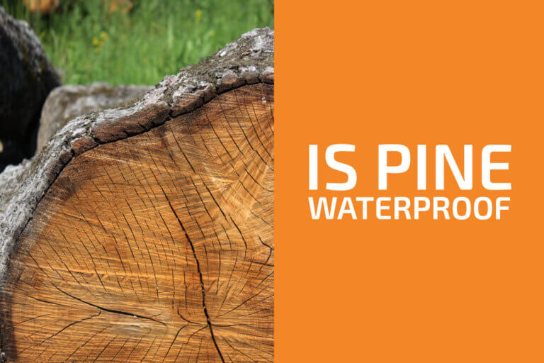 Is Pine Wood Waterproof? - Handyman's World