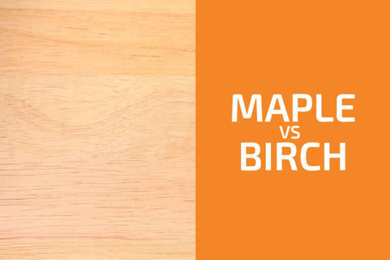 Maple vs. Birch: Which One to Use? - Handyman's World