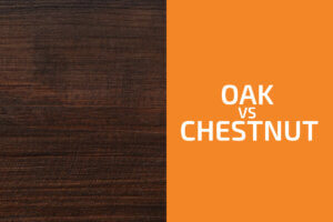 Oak vs. Chestnut: Which One to Use? - Handyman's World