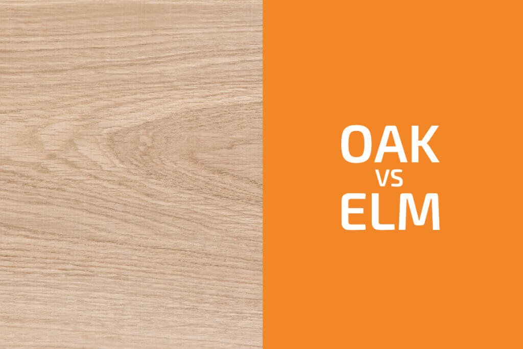 Oak vs. Elm: Which One to Use? - Handyman's World