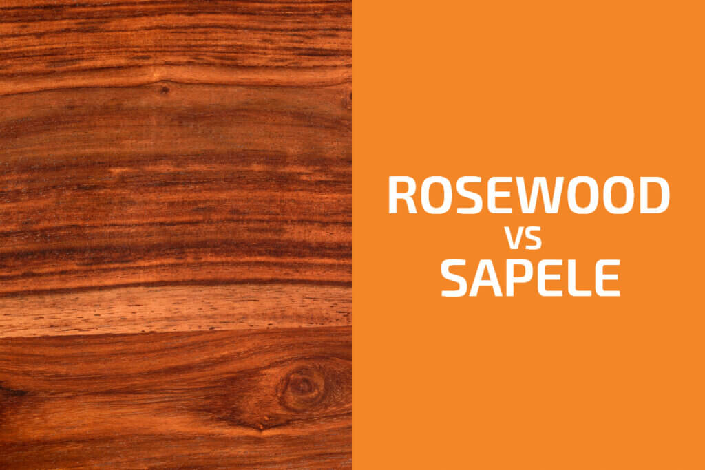 Rosewood vs. Sapele: Which One to Use? - Handyman's World
