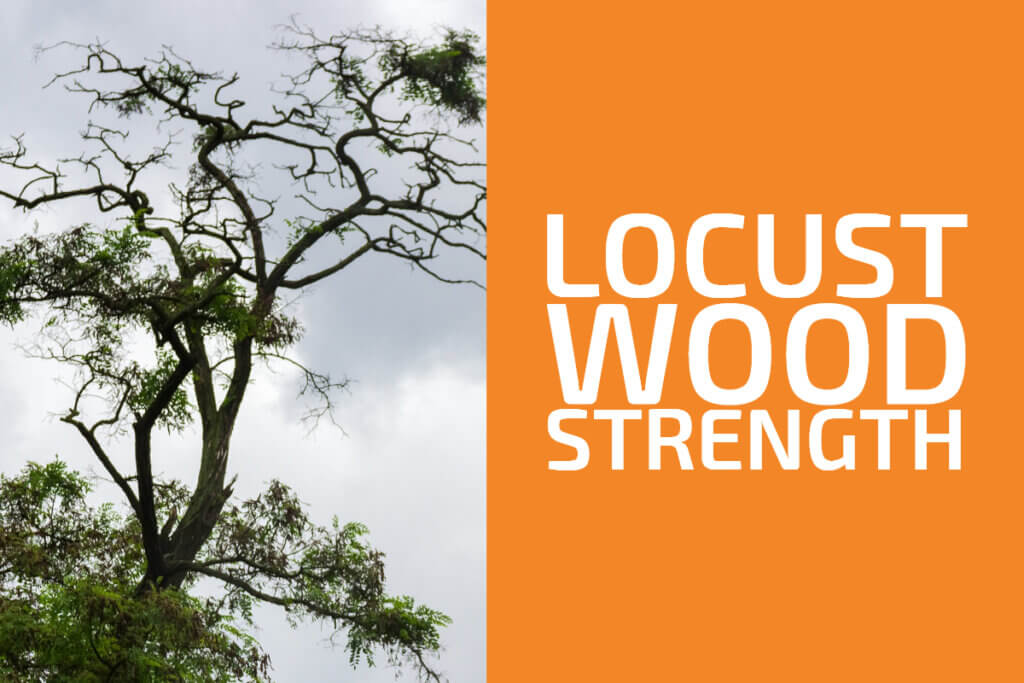 Locust Wood Strength (& Is It a Hardwood or a Softwood?) - Handyman's World