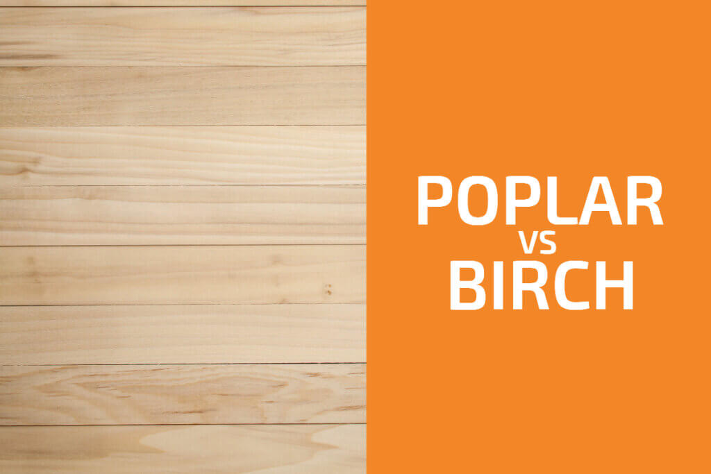 Poplar vs. Birch: Which One to Use? - Handyman's World