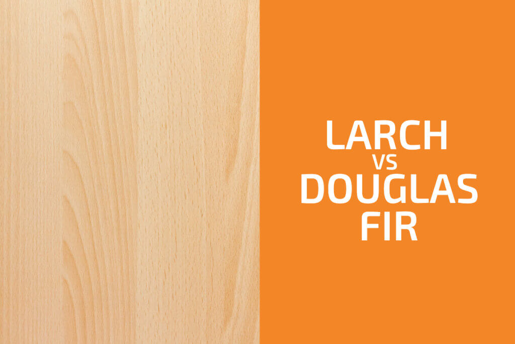 Larch vs. Douglas Fir: Which Wood to Use? - Handyman's World